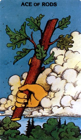 Ace_of_Rods - Terry Yoder